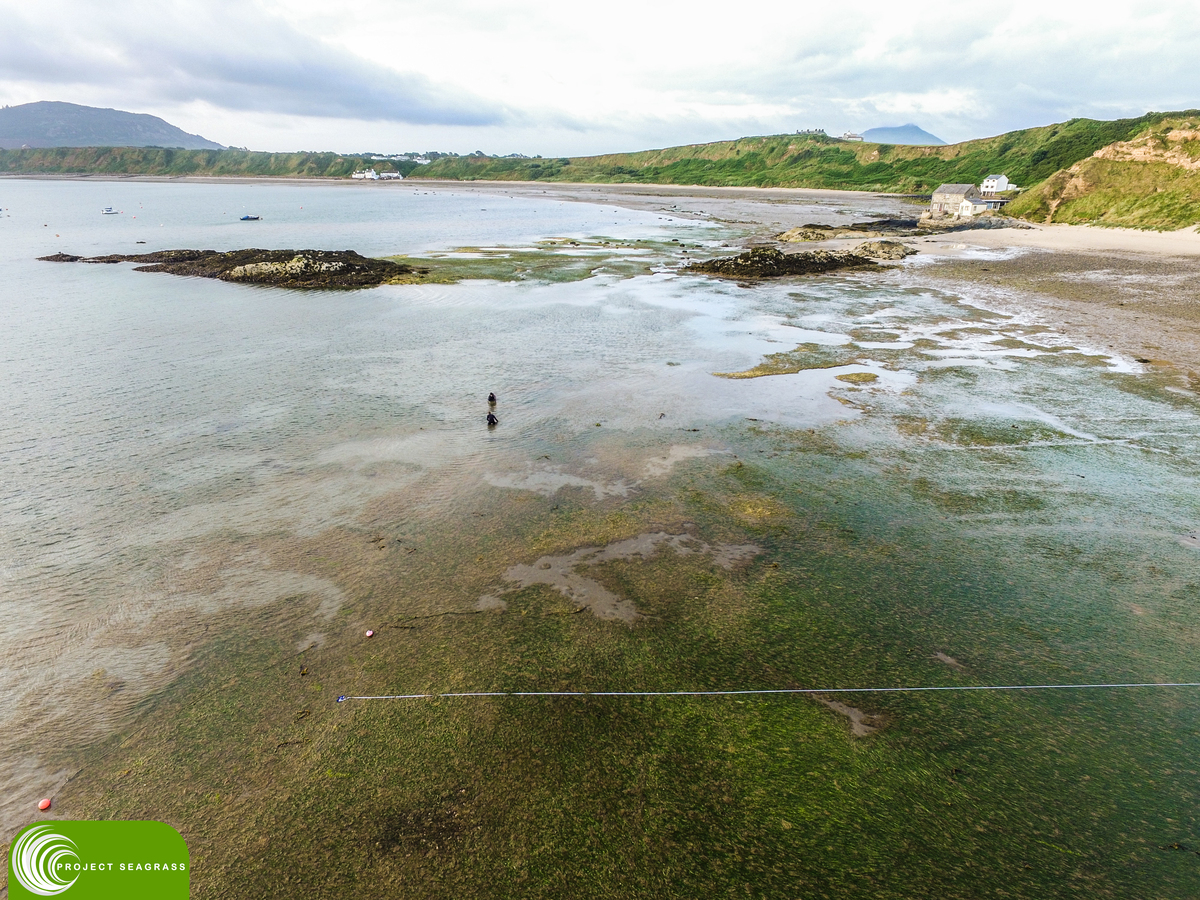 Run 4 Wales tackles its environmental impacts through exciting new ...
